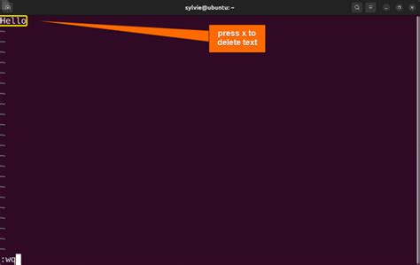 The “vi” Command In Linux 6 Practical Examples