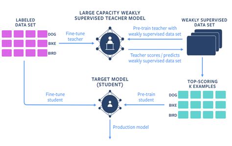 Semi Weakly Supervised Learning Increasing Classification Accuracy