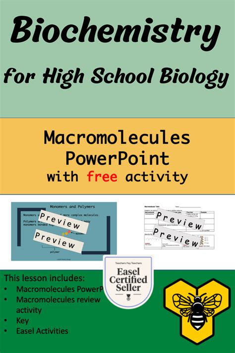 Modeling Macromolecules Activity At Retha Williams Blog