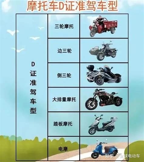 明确了！ C1d驾照可以准驾十四种车型，驾照考试流程和费用一起看 知乎