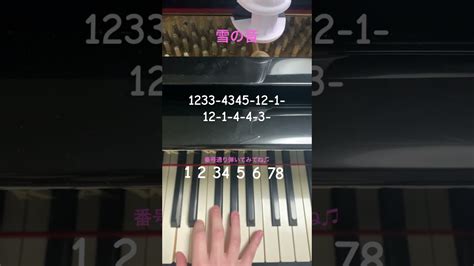 Novelbright Piano Novelbright