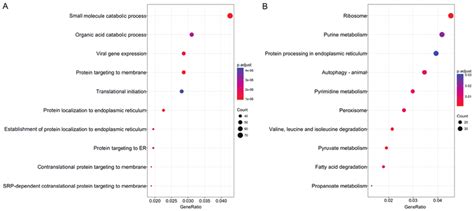 Pathway Analysis Of Survival Related Alternative Splicing Genes A