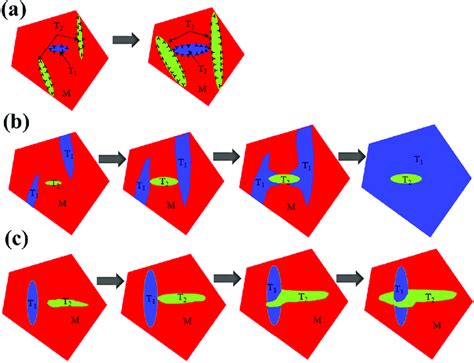 A Twin Twin Interaction When Growth Of The Twin Variants Is Download Scientific Diagram