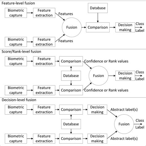 2 Multi Biometric Fusion At Different Levels [jrp04] Download Scientific Diagram