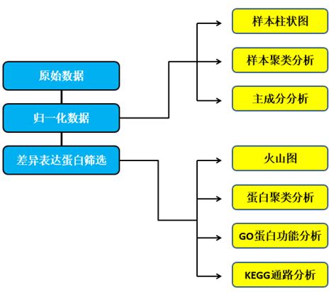 云生物 Raybiotech芯片