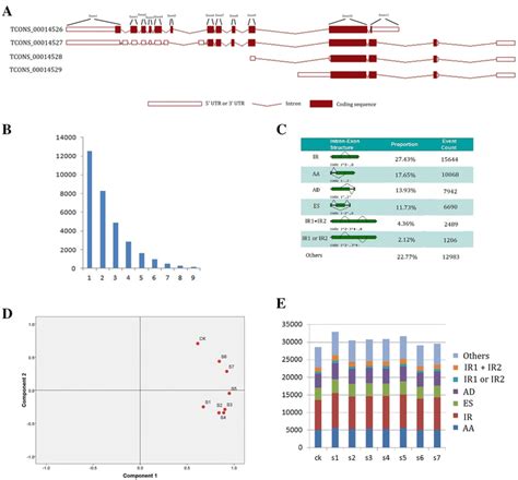 Alternative Splicing Analyses A An Example Of Arf Genes Download Scientific Diagram