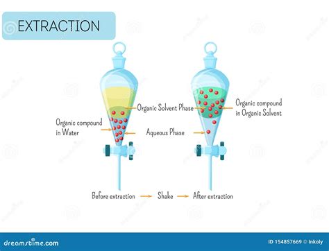 Diagram Solute Solvent Diagram Mydiagramonline