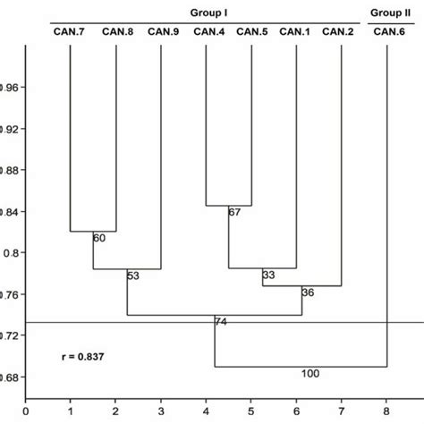 Unweighted Pair Group Method With Arithmetic Mean Dendrogram