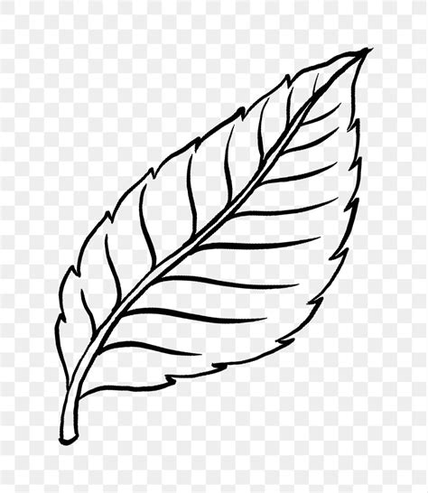 Leaf Clip Art Images Free Photos Png Stickers Wallpapers