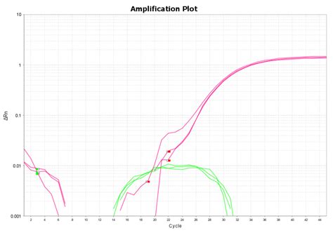 Unusual Qpcr Amplification Curves Researchgate