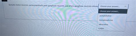 Solved Somatic Motor Neurons Parasympathetic