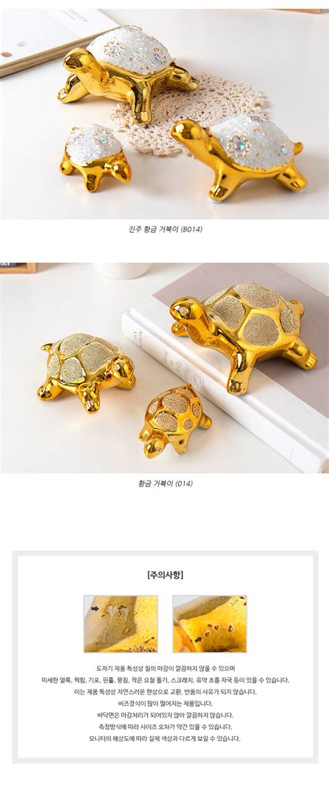 황금 거북이 3개 세트 2type 감도 깊은 취향 셀렉트샵 29cm