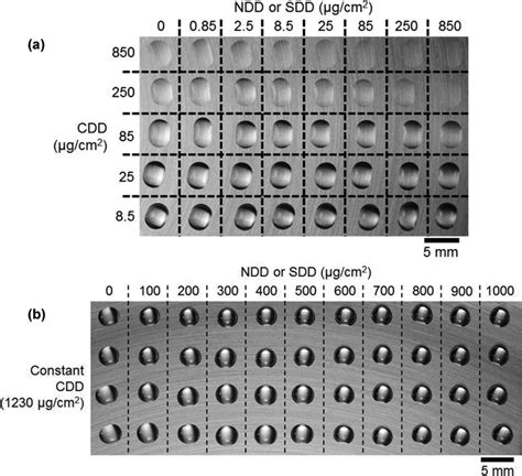Array Design For A Logarithmic Variation 33 Mm Diameter Droplets