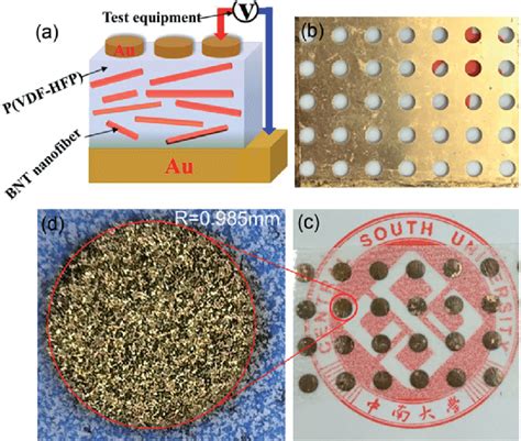 A Schematic Illustration Of Bnt Nfs P Vdf Hfp Nanocomposites B Download Scientific