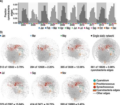 Cyanobacteria Associations A Fraction Of Edges In The Temporal Network