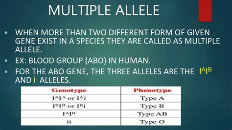 Allele Pptx