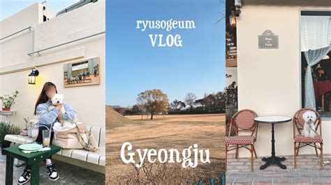 강아지와 경주 당일치기 여행 경주시 파리동 로제드파리 십원빵먹고 카페가고 하늘이 예뻤던 날🌙 Youtube