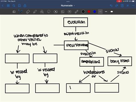 SOLVED Investigating Life 17 1 Concept Map Drag And Drop The Terms On