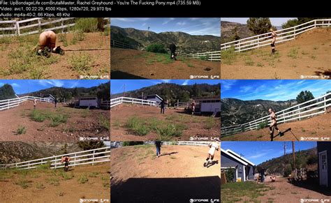 Bondagelife Brutalmaster Rachel Greyhound Cage Time Page 2