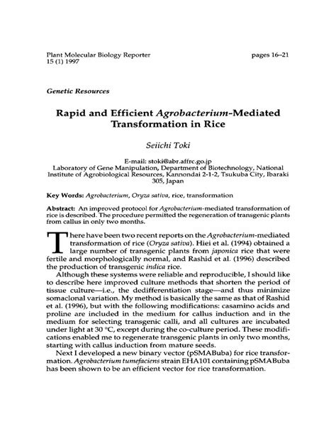 Rapid And Efficient Agrobacterium Mediated Transformation In Rice Pdf Transformation