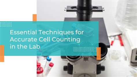 Essential Techniques For Accurate Cell Counting In The Lab Essential Techniques For Accurate Cell Counting In The Lab