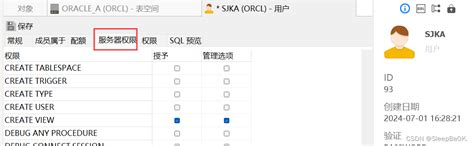 Navicat使用oracle（创建库以及用户，详细教程！！！）navicat Oracle 创建数据库 Csdn博客