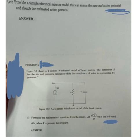 Solved Iv Provide A Simple Electrical Neuron Model That Chegg