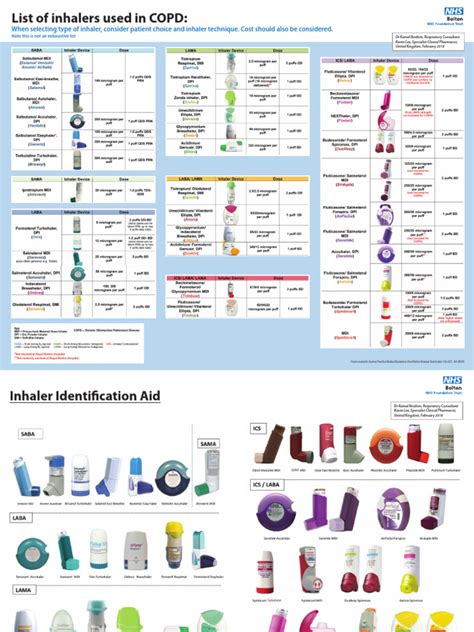 Copd Inhalers List Pdf Clinical Medicine Drugs