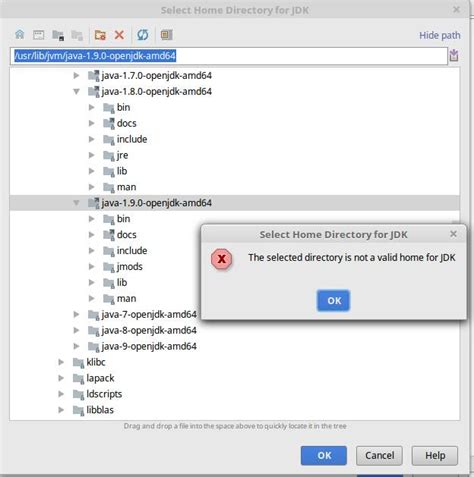 Intellij Idea 20172 Cant Add Openjk 9 On Linux Mint 18 Stack Overflow