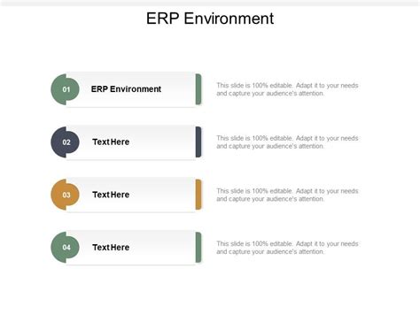 Erp Environment Ppt Powerpoint Presentation Portfolio Example File Cpb