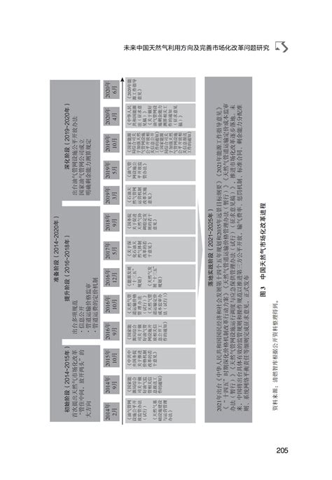 世界能源蓝皮书：未来中国天然气利用方向及完善市场化改革问题研究 先导研报