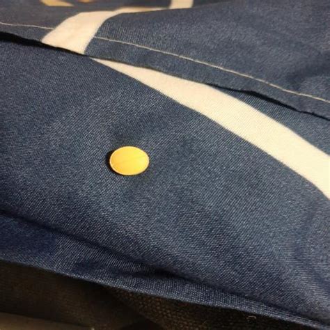 Detec Vien Thuoc Object Detection Dataset By Hieuhfgrworkspace