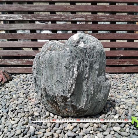 Amazon co jp 三波石37 1キロ庭石鑑賞石石盆石水石灯籠庭坪庭盆栽ガーデニング置物オブジェインテリア砂利 303 おもちゃ