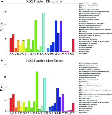 Kog Classification Of Assembled Unigenes A Roots B Shoots Download Scientific Diagram
