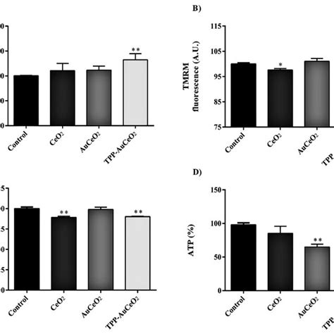 Physiological Parameters Associated With Mitochondrial Function A Download Scientific