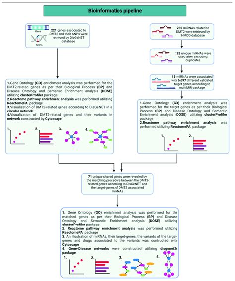 Scheme 1 Schematic Illustration Of Bioinformatics Pipeline Applied To