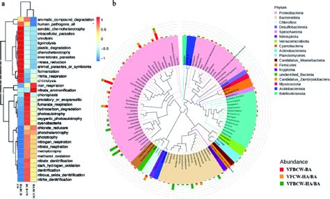 Metabolic Functional Diversity Of Bacterial Community Structure A And Download Scientific