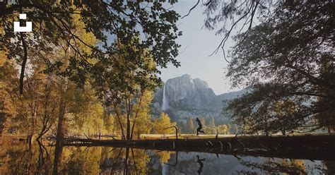 나무와 호수의 풍경 사진 사진 Unsplash의 무료 자연 이미지