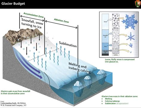 Glacier Budget Showing The Accumulation Zone And Ablation Zone
