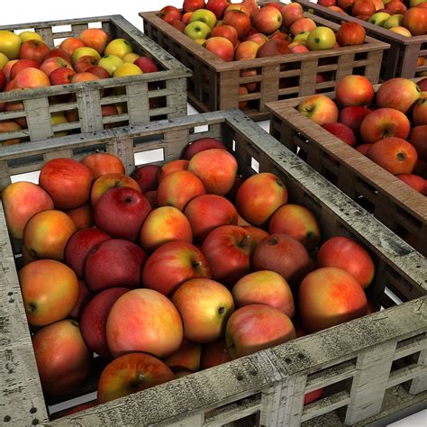 애플 과일 상자 케이스 마켓 스토어 샵 편의점 일반 식료품 청과물 디테일 페어 페어 플랜테이션 정글 사우스 플랜트 가든 온실 레드 그린 현실적인 브레이 3d 모델 79