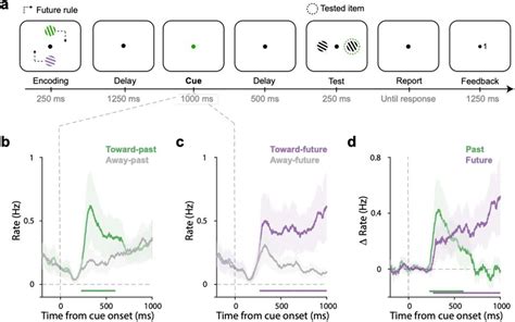 Directional Gaze Biases By Past And Future Locations During Mnemonic Download Scientific