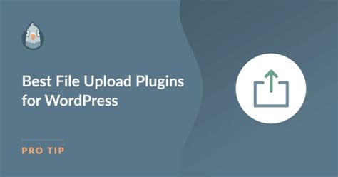 7 Best Wordpress File Upload Plugins To Try In 2025