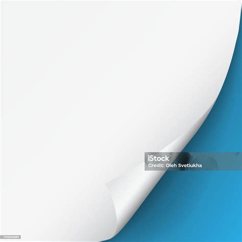 말린 모서리와 그림자가 있는 용지 페이지입니다 설계용 템플릿입니다 설정 벡터 일러스트레이션 가장자리에 대한 스톡 벡터 아트 및 기타 이미지 Istock