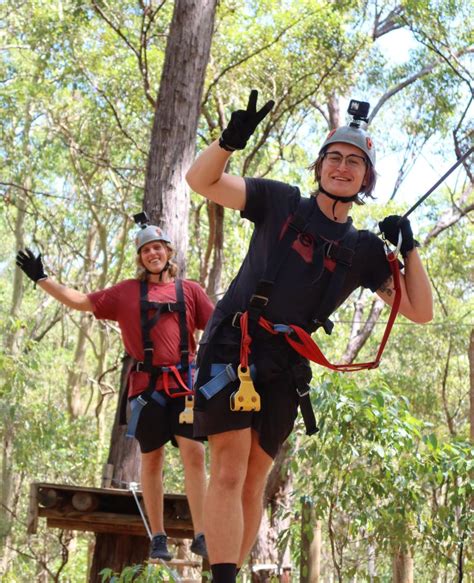 Tree Top Challenge Tamborine SPARK POP