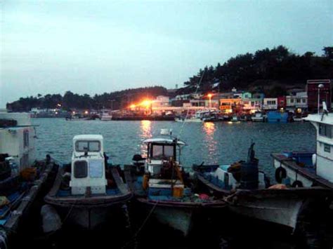 흑산 예리항에 밤이 찾아오다 오마이포토