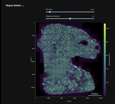 Overview Of The Xenium Analysis Summary Official X Genomics Support