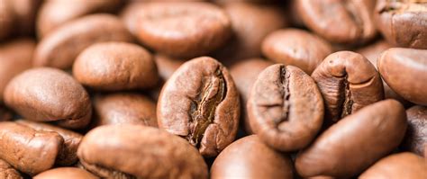 Thailand Coffee Authentic Siam Hills Coffee Premium