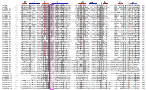 Multiple Sequence Alignment Of The A Type Domains Of B Rapa Pdi