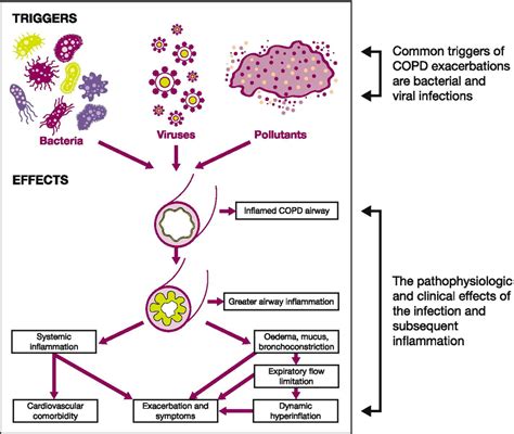 COPD Exacerbations Defining Their Cause And Prevention The 44 OFF