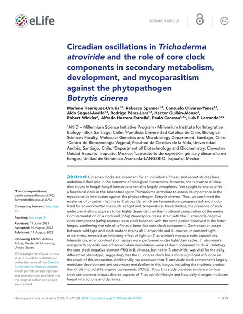 Pdf Circadian Oscillations In Trichoderma Atroviride And The Role Of Core Clock Components In